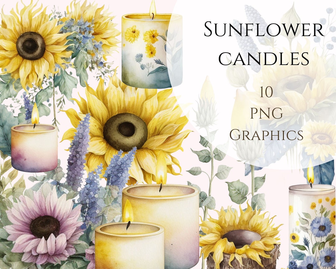 Watercolor Clipart Sunflowers Pngs Flower Clipart - Etsy