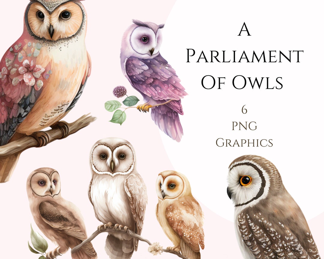 Watercolor Owls Clipart: Vintage Style Animal Graphics (PNG Digital ...