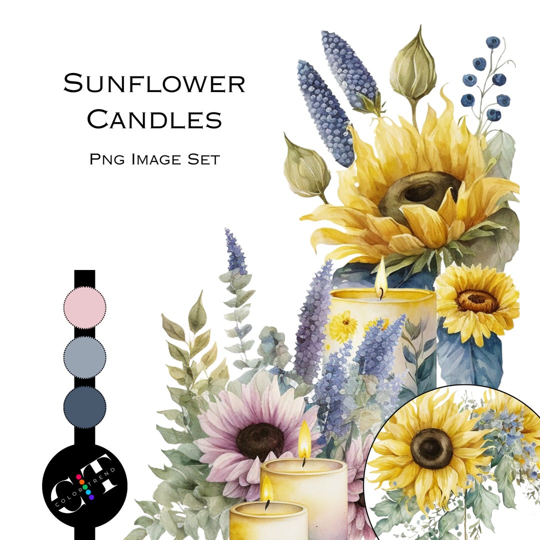 Watercolor Clipart, Sunflowers, Pngs, Flower Clipart, Commercial Use ...