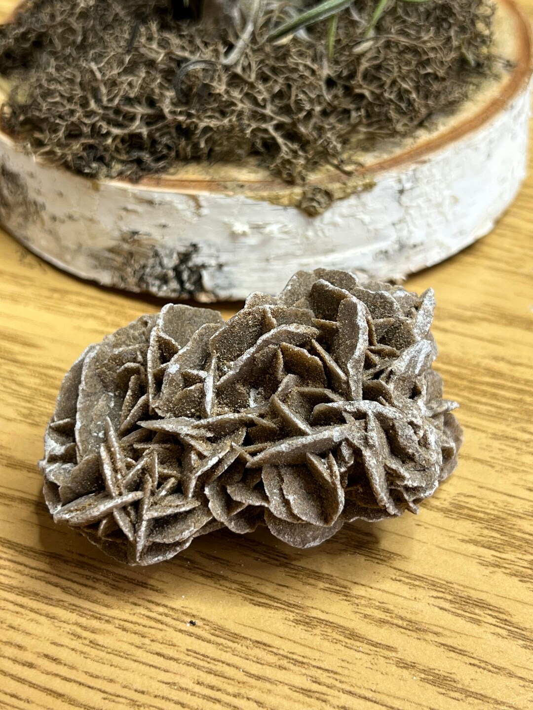 Desert Rose Selenite | Gypsum Sand Rose Specimen (85 Grams) - Etsy
