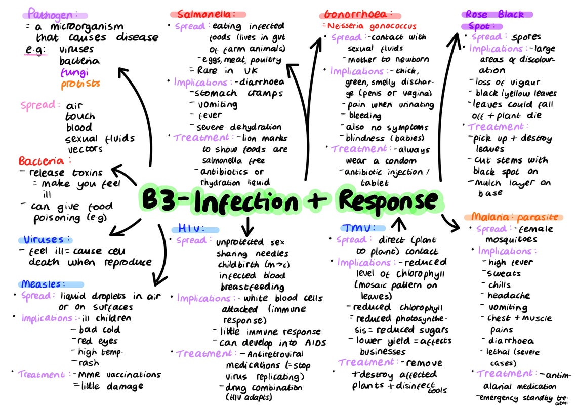 GCSE Biology Mindmaps - Etsy UK