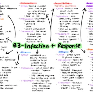 GCSE Biology Mindmaps - Etsy