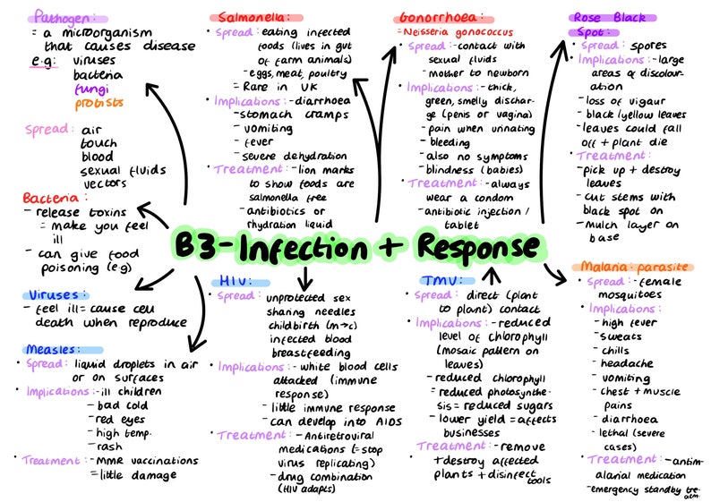 GCSE Biology Mindmaps - Etsy