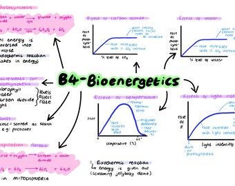 GCSE Biology Mindmaps - Etsy
