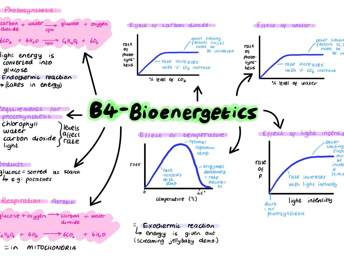 GCSE Biology Mindmaps - Etsy
