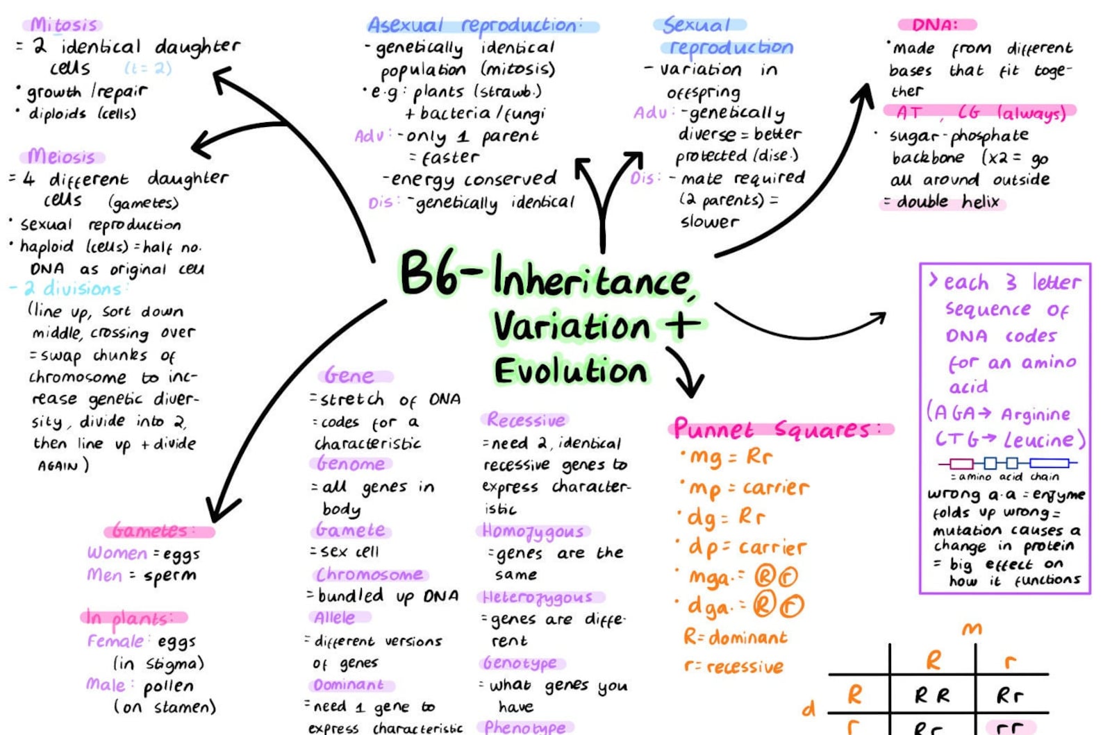 GCSE Biology Mindmaps - Etsy