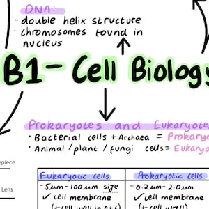GCSE Biology Paper 1 Topics (B1-B4) - Etsy UK