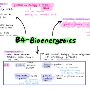 GCSE Biology Mindmaps - Etsy
