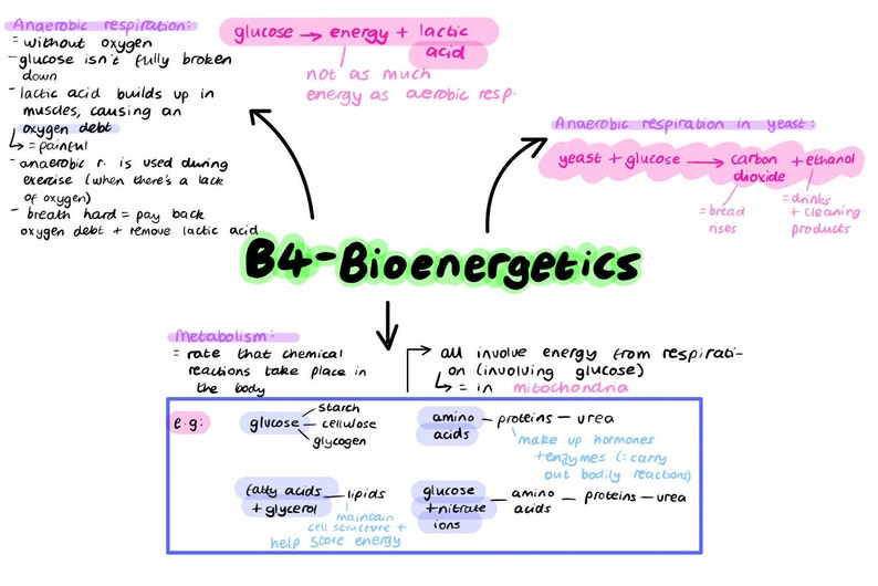 GCSE Biology Mindmaps - Etsy