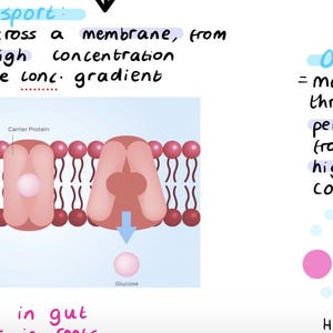 GCSE Biology Paper 1 Topics (B1-B4) - Etsy UK