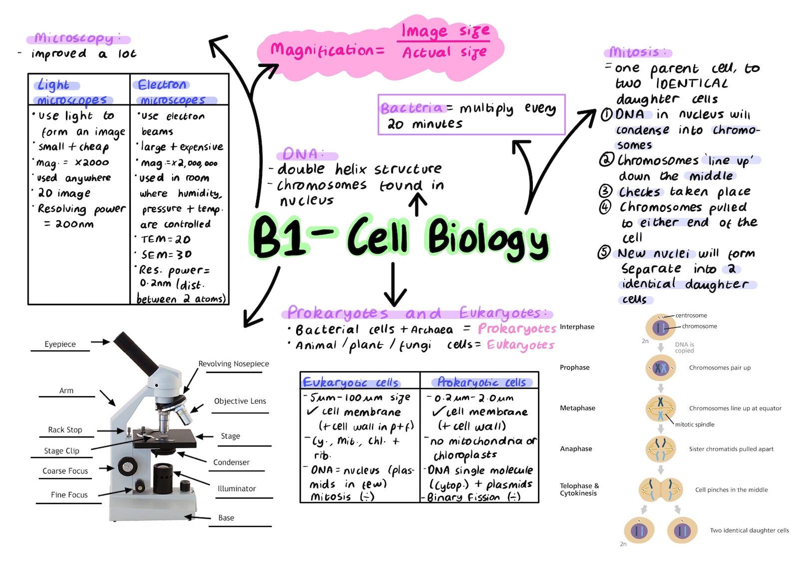 GCSE Biology Mindmaps - Etsy UK