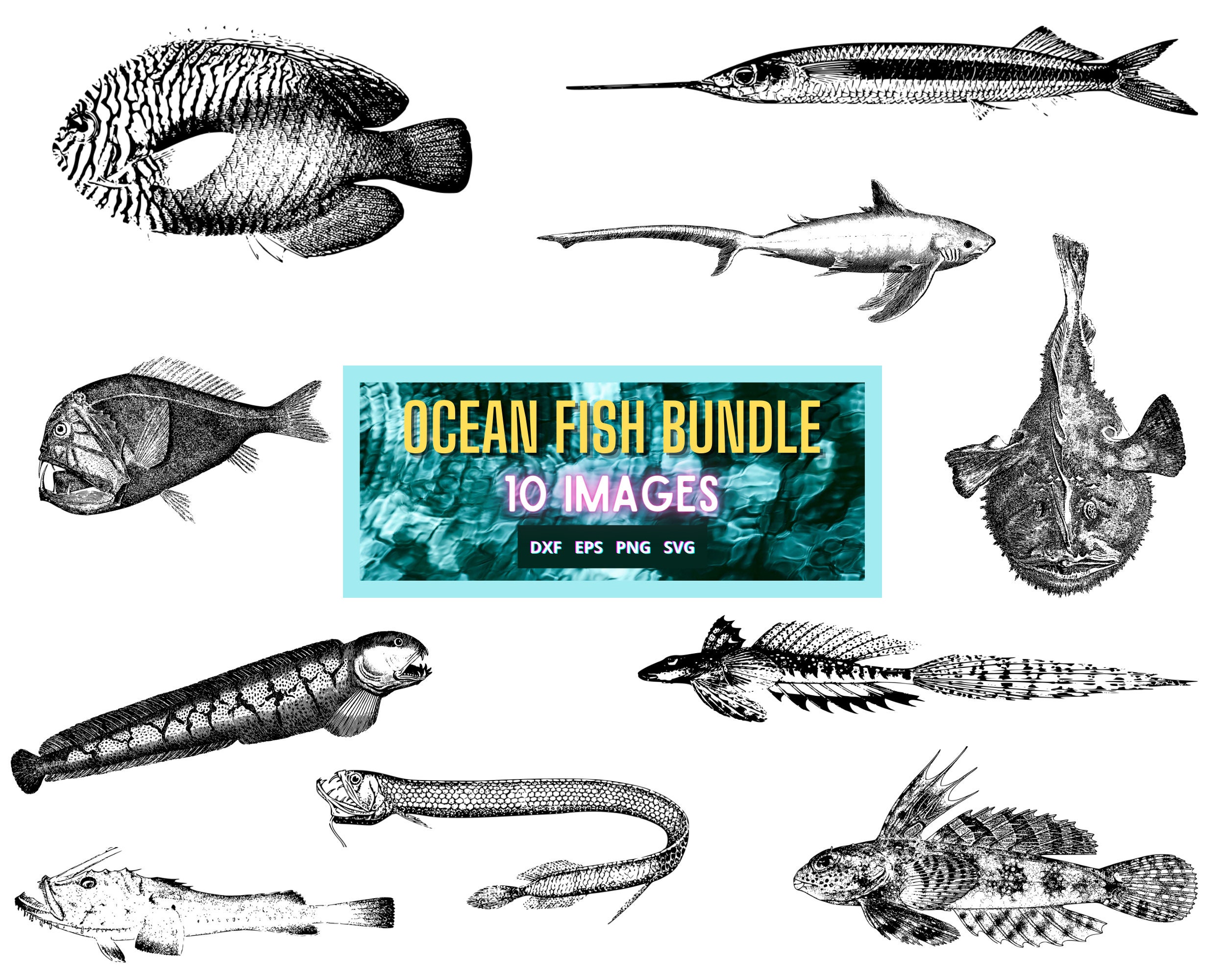 Ocean Fish 10 Digital Image Bundle Svg Dxf Eps Png - Etsy
