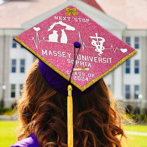 Personalized Veterinarian Graduation Cap Topper, Vet Tech Grad Cap ...