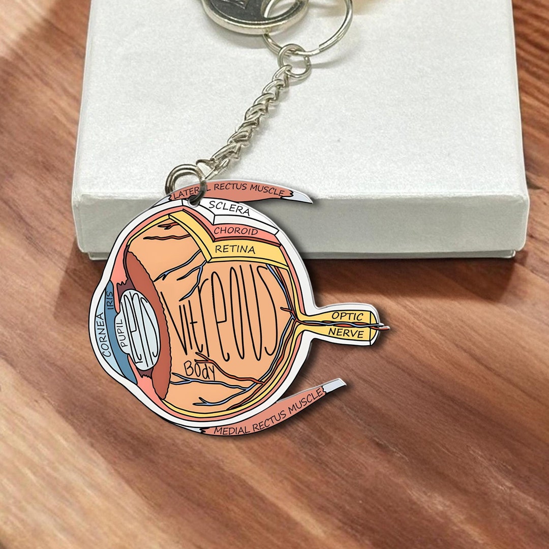 Eye Anatomy Acrylic Keychain, Gift for Eye Doctor, Optometrist Keychain ...