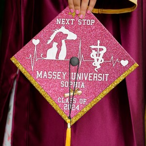 Personalized Veterinarian Graduation Cap Topper, Vet Tech Grad Cap ...