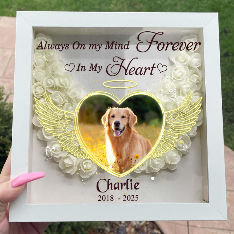 Pet Memorial Shadow Box - Etsy
