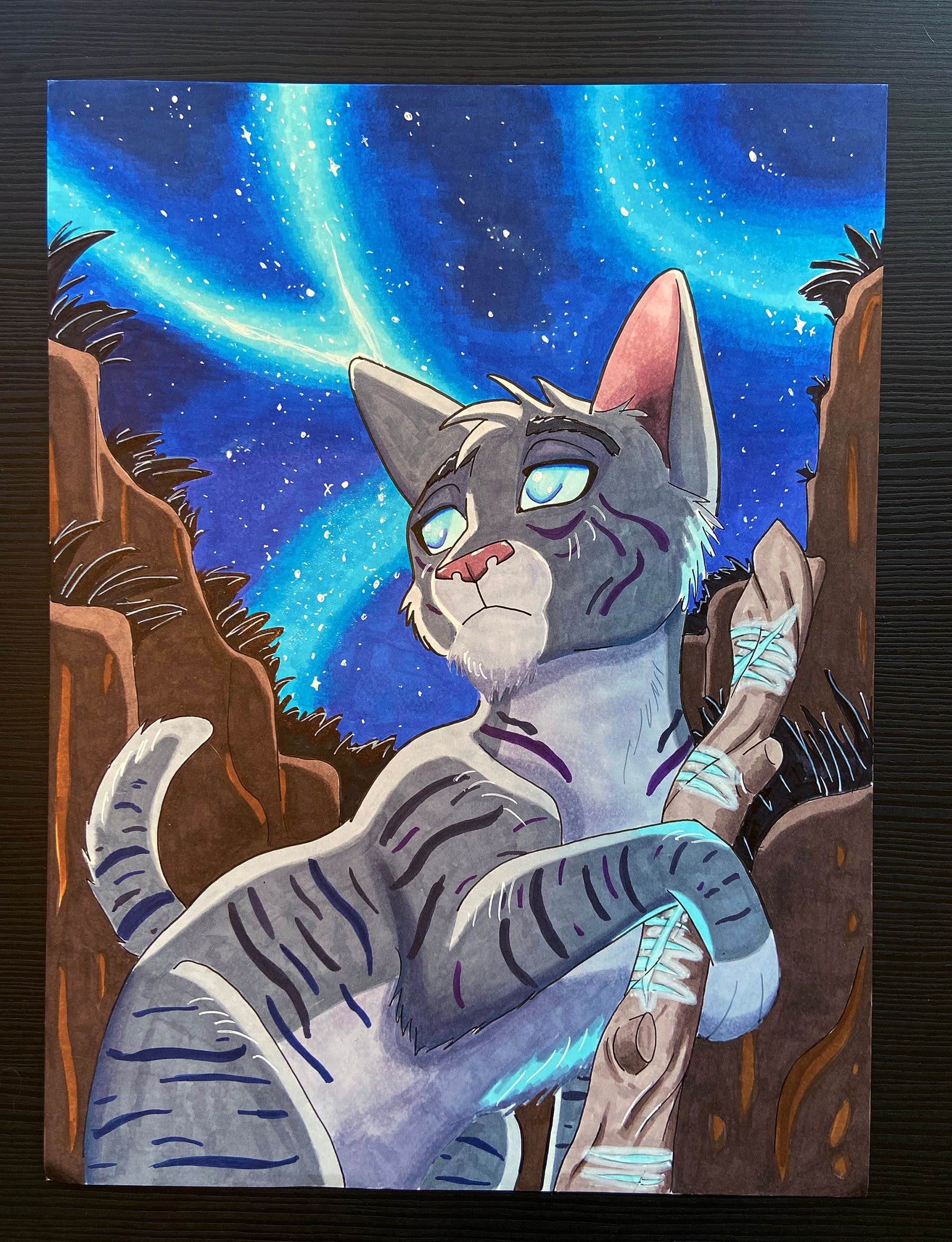 Warrior Cats Wallpaper Jayfeather