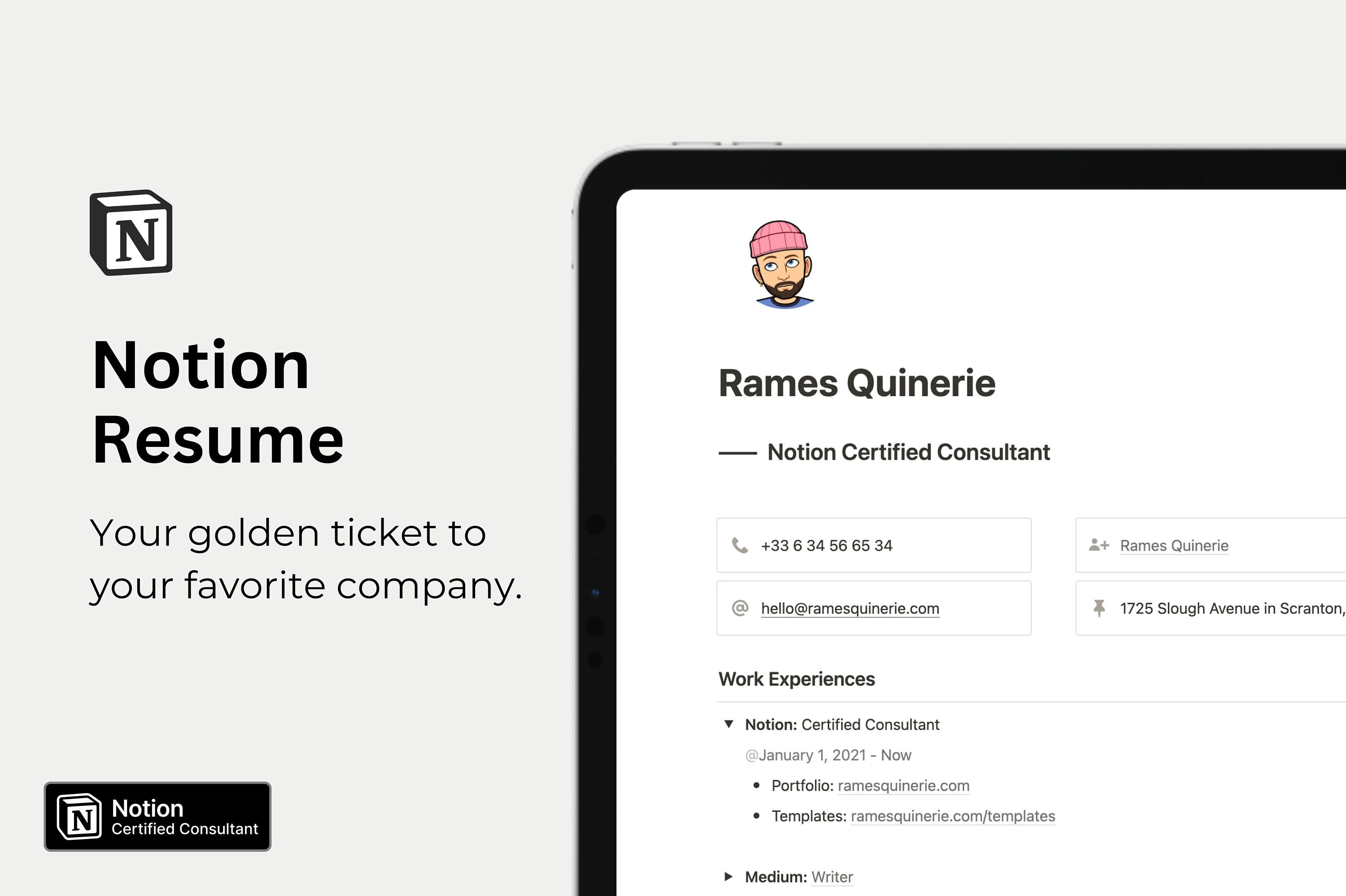 Online Resume Notion Template - Etsy