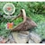 Adirondack Pack Basket- Foraging Backpack - “red-shouldered Hawk“ - Etsy