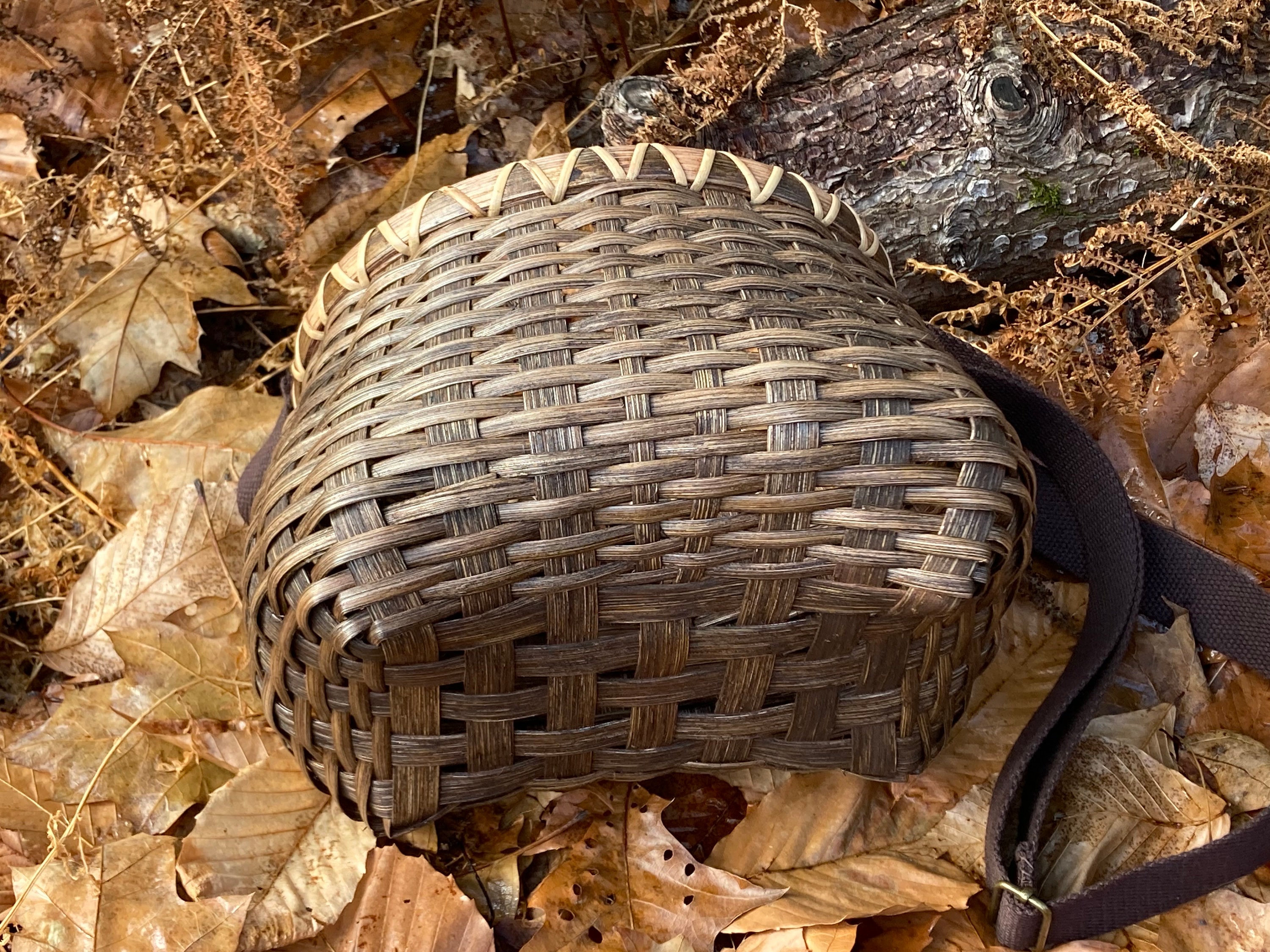 Foraging Basket Cathead Mushroom Harvesting-walnut - Etsy