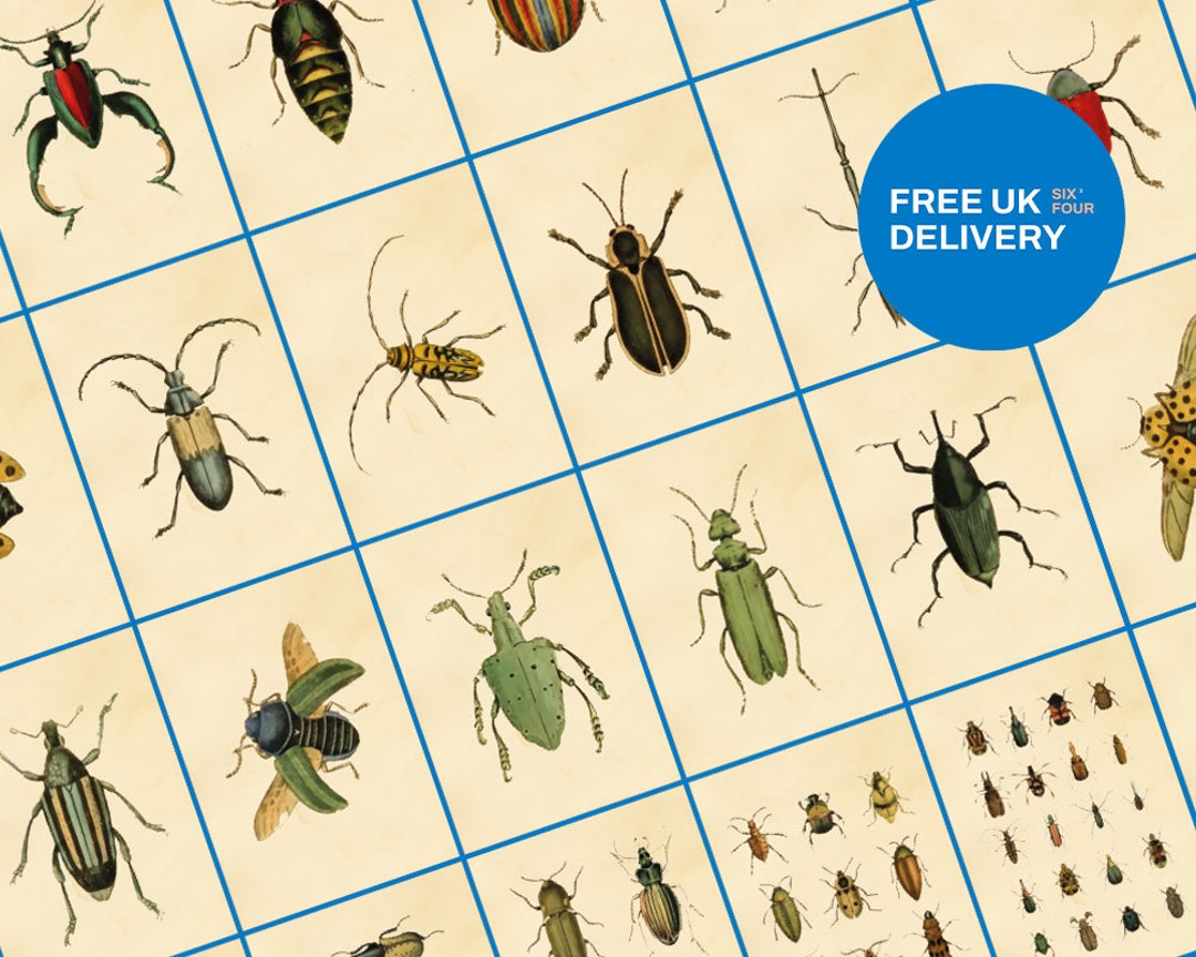 Vintage Insect Wall Collage Kit 20 Physical Prints - Etsy