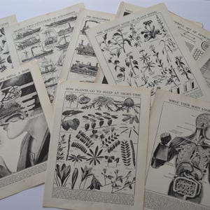 Vintage Wonders of Science-simplified Loose Pages of the Book - Etsy