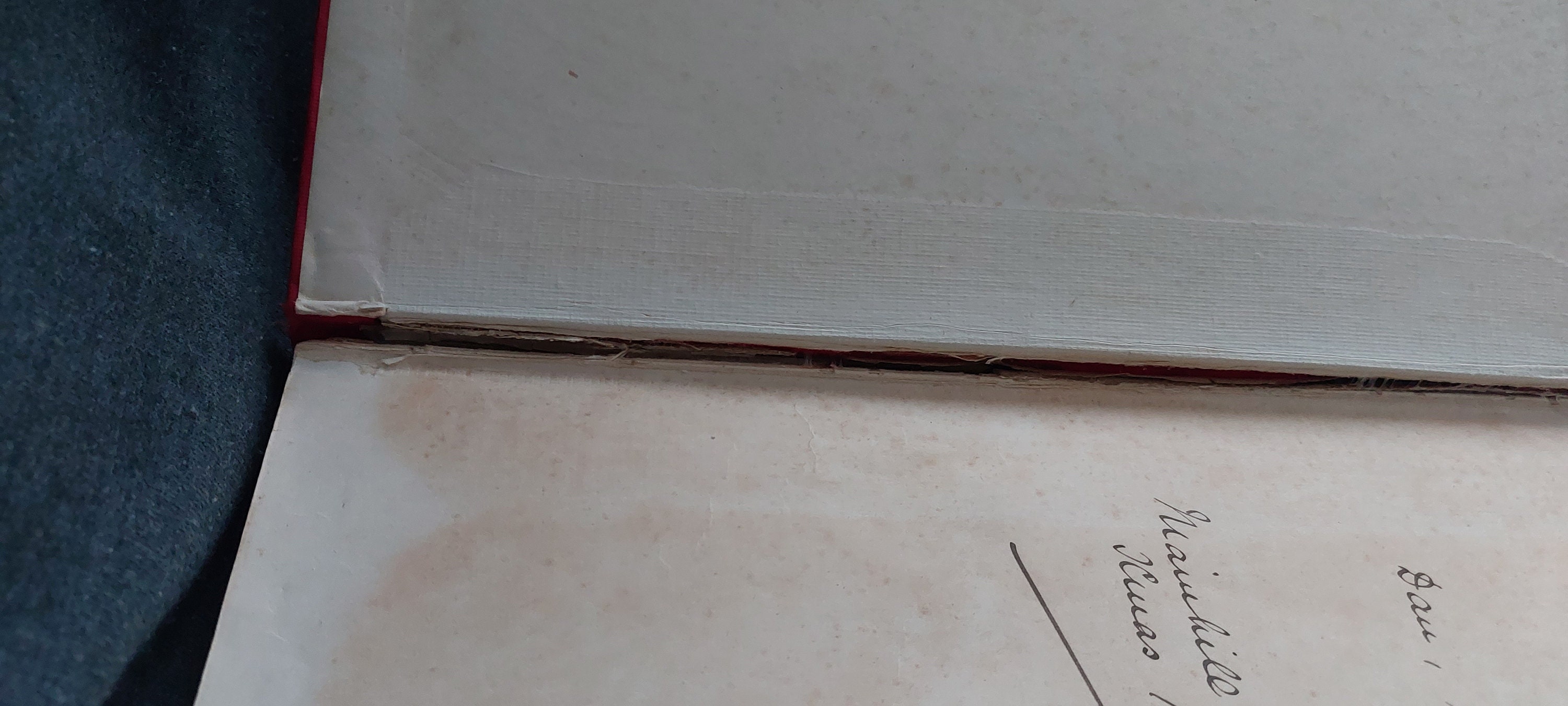 Vintage Book/ Whys and Other Whys or Curious Creatures and Their Tales ...