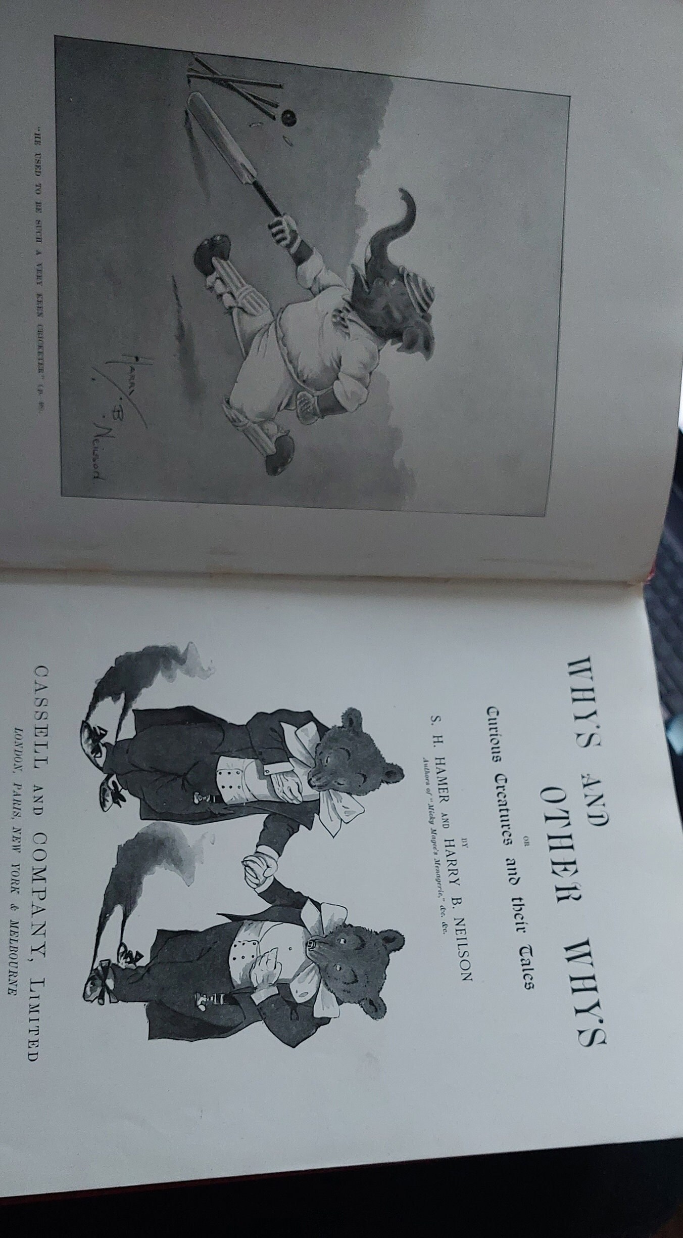 Vintage Book/ Whys and Other Whys or Curious Creatures and Their Tales ...