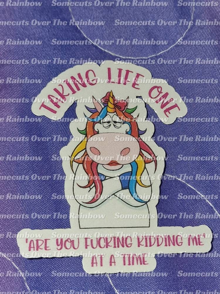 Swear Funny Angry Mad Adult Cute Rude Sassy Joke Sarcastic - Etsy