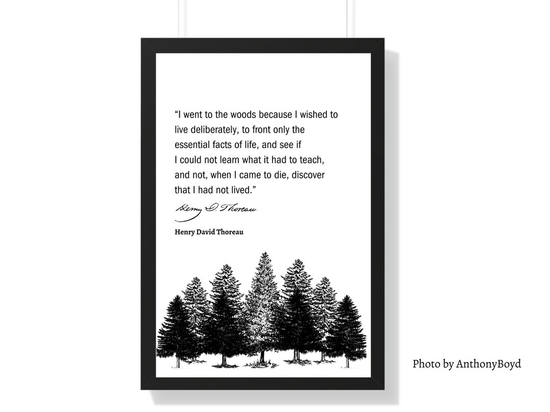 Henry David Thoreau Quote, Thoreau Wall Art, Quote Print Poster, Walden ...