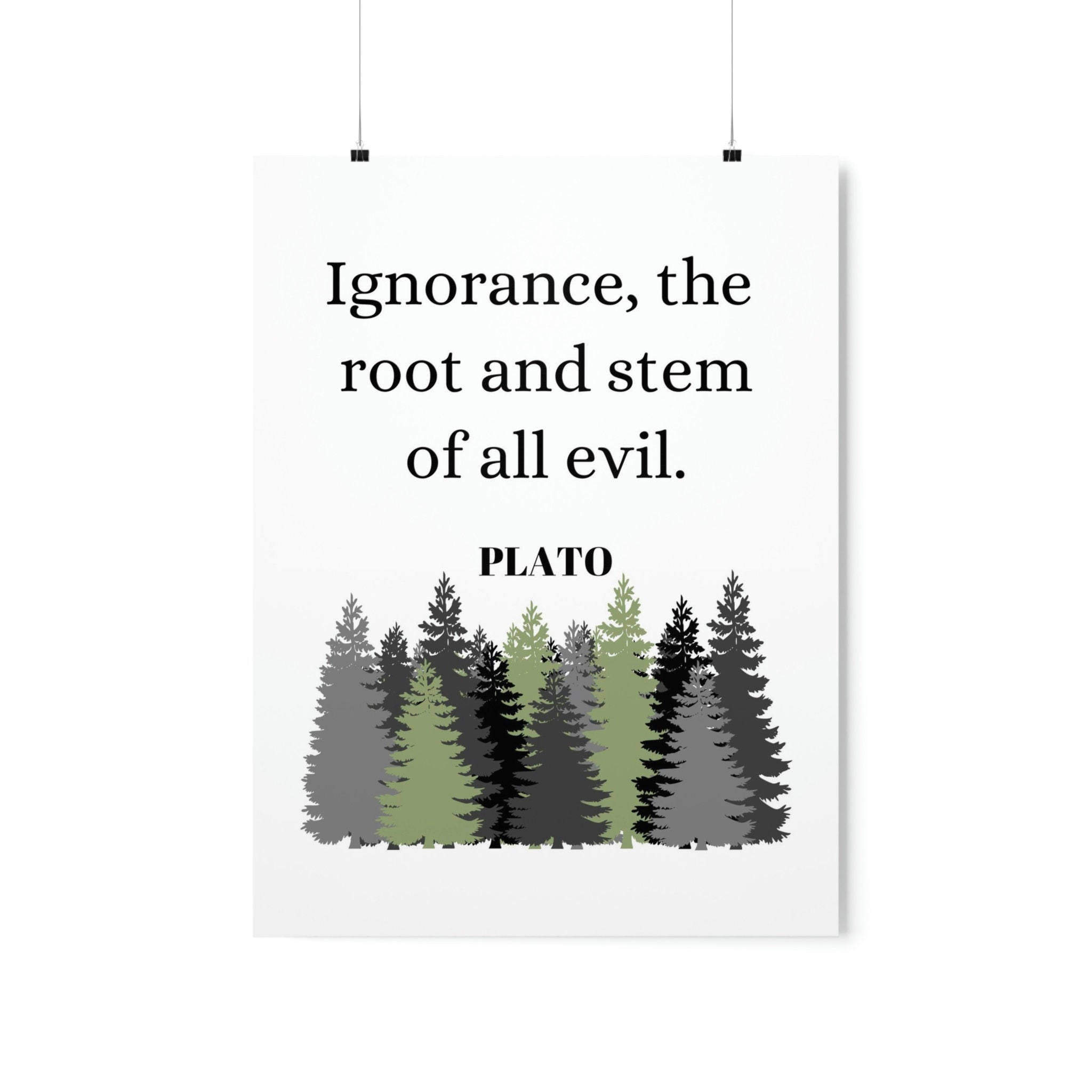 Plato Quote, Plato Wall Art, Ignorance the Root of All Evil, Quote ...