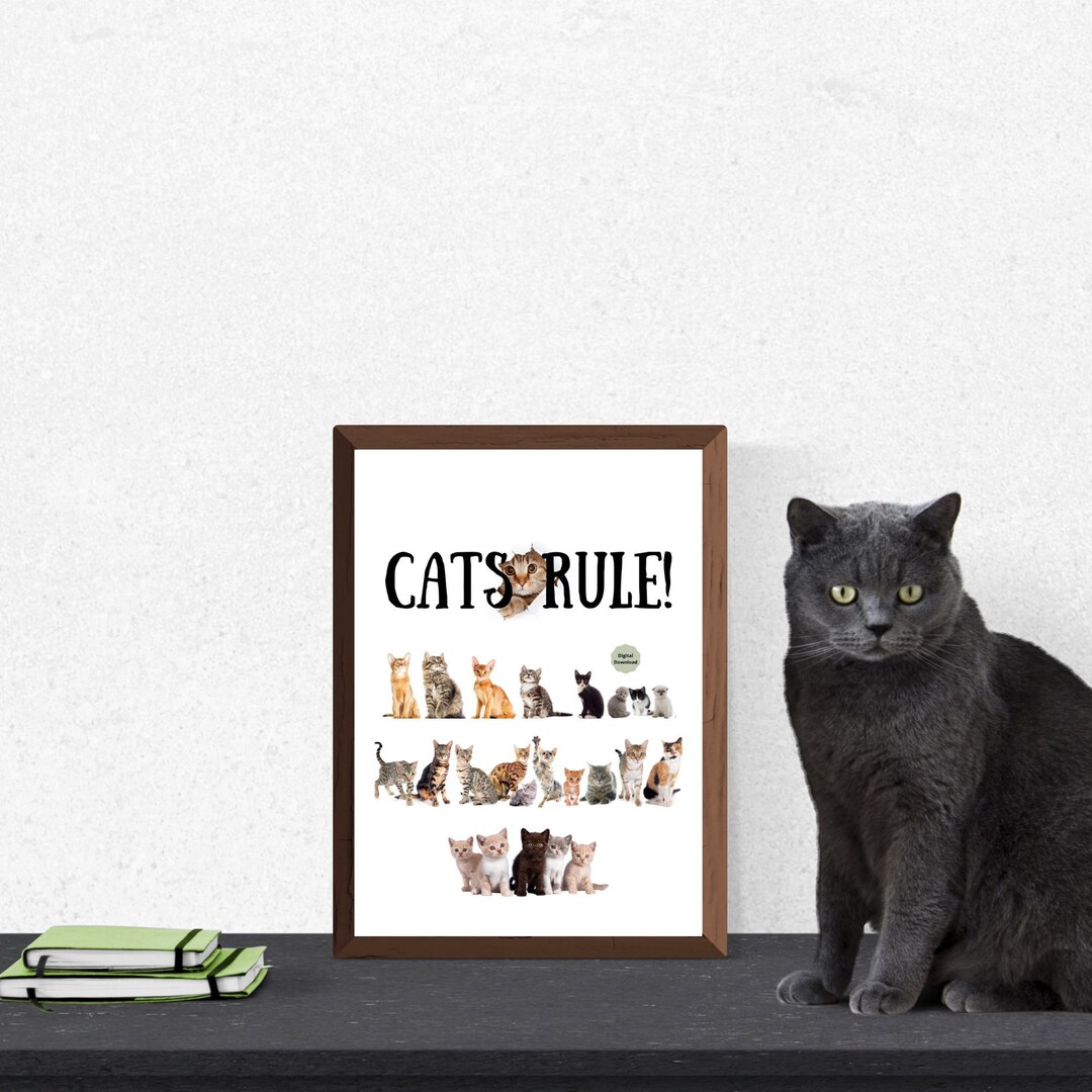 CATS RULE! Digital Wall Art, Printable Wall Art, Wall Hangings, Digital ...