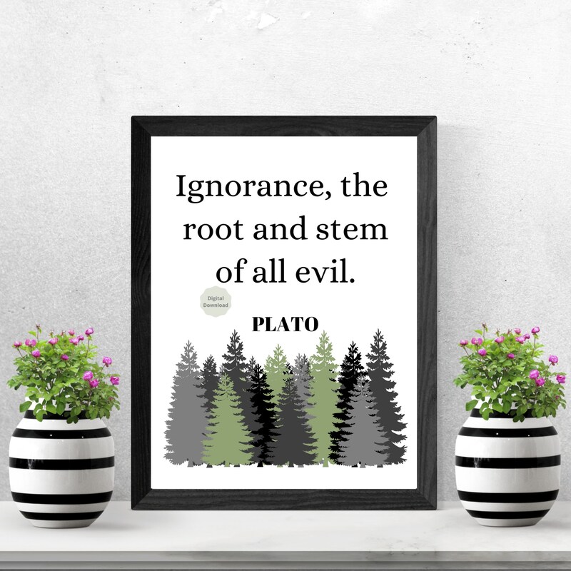 Plato Wall Art - Etsy
