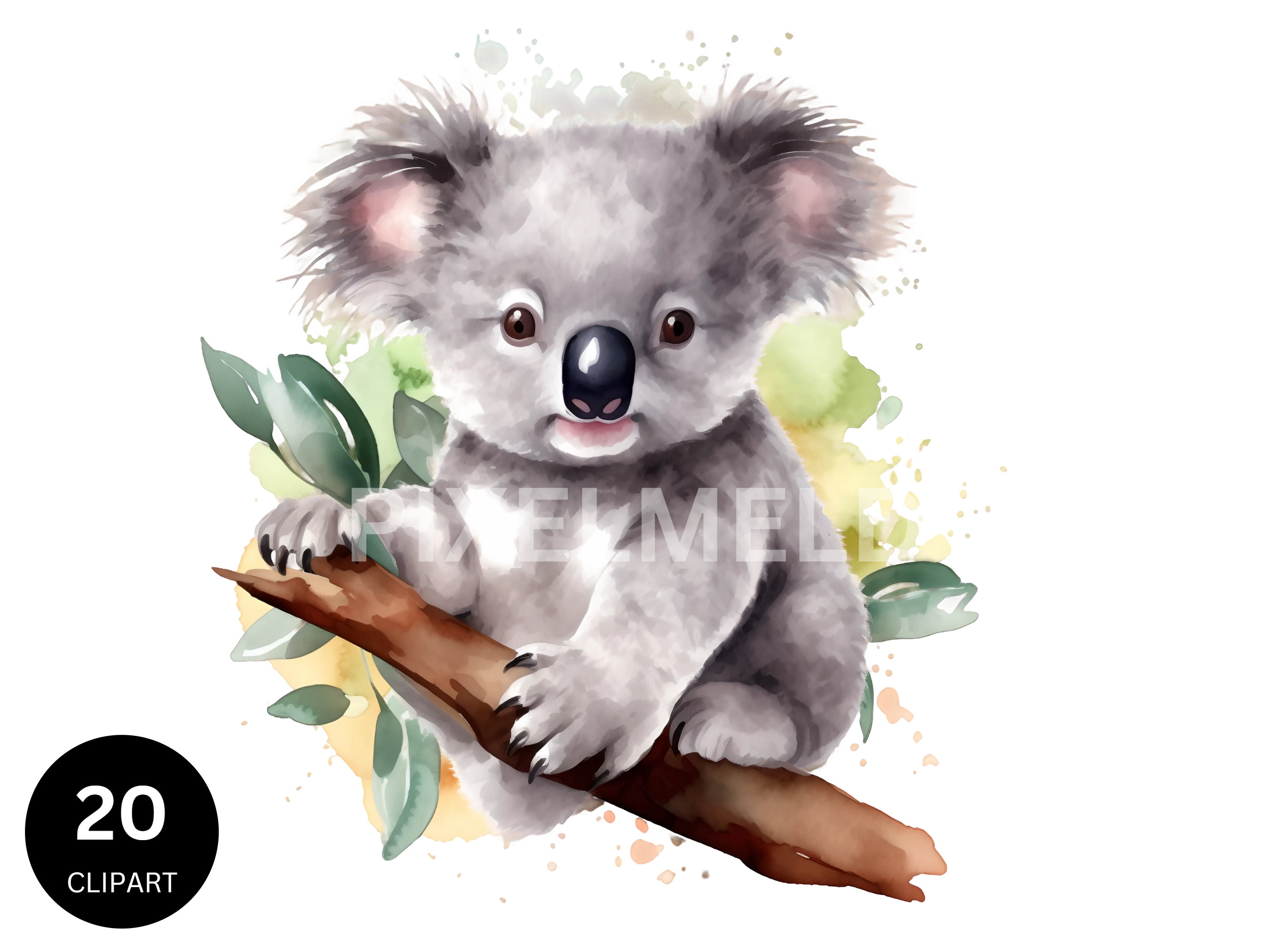 Koala Clipart, Cute Koala PNG Files For Sublimation, Koala Bear Clip ...
