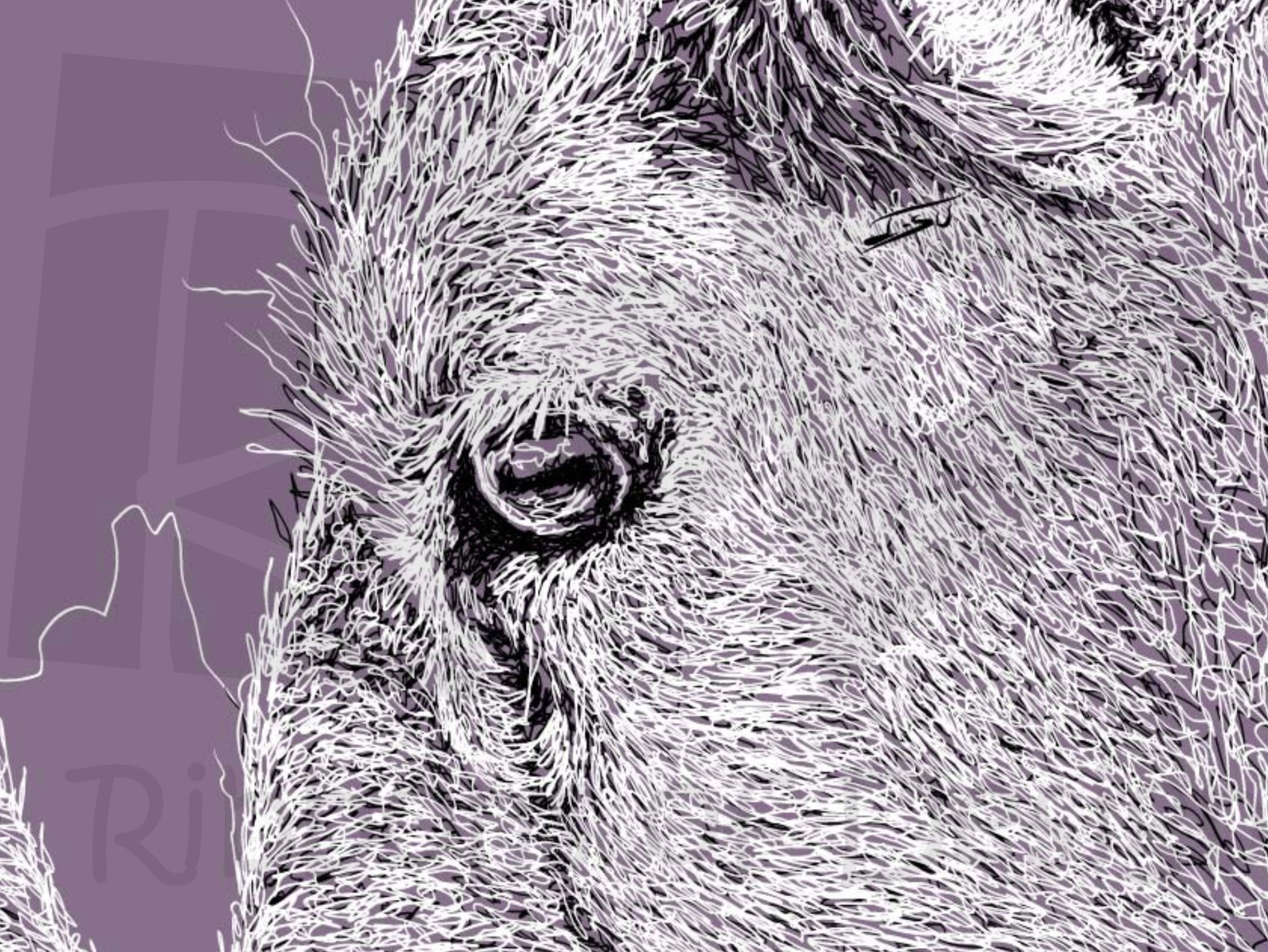 Sheep Line Drawing Black and White Digital Print Cute Farm Animals ...