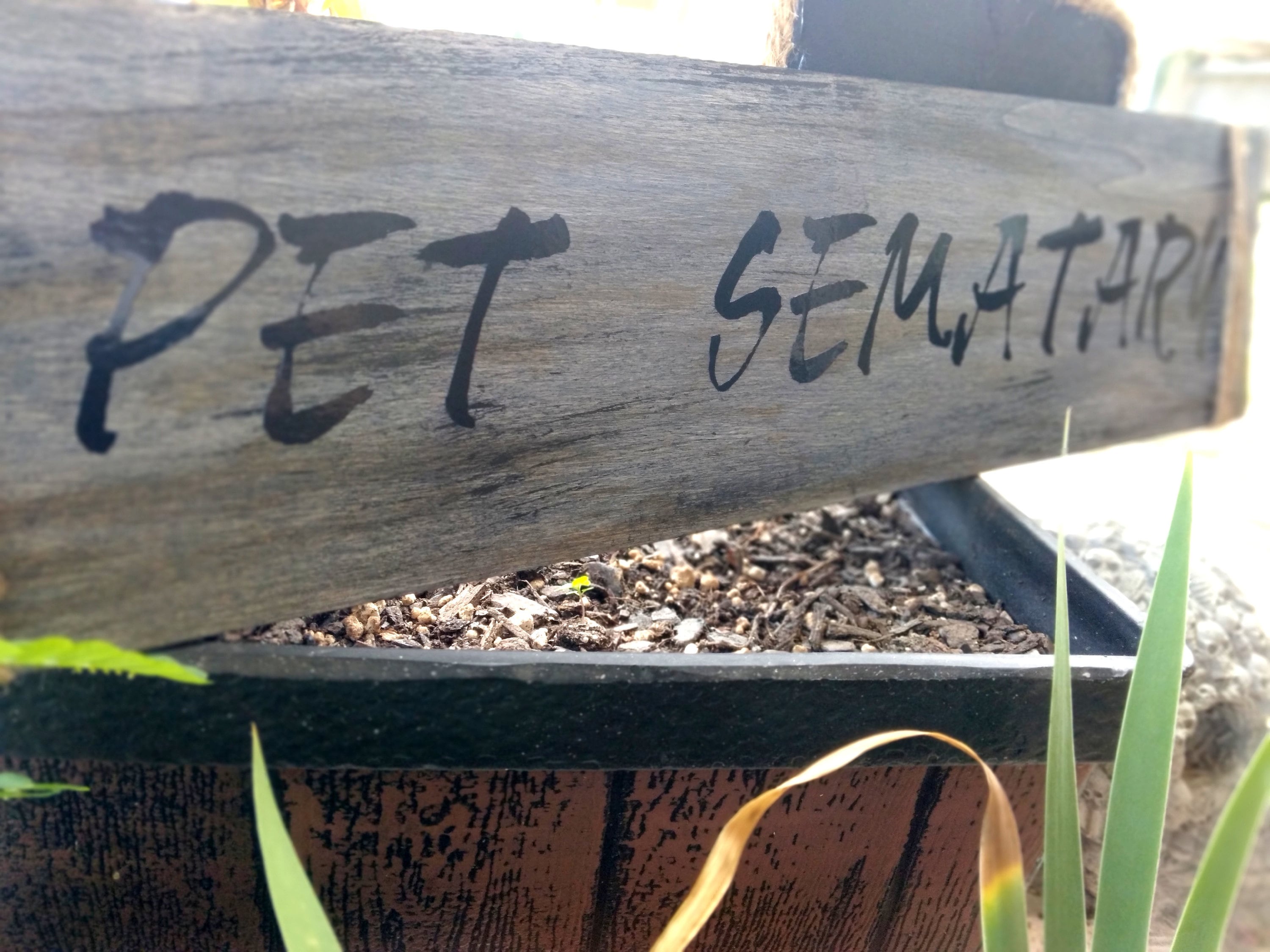 Pet Sematary Sign - Etsy