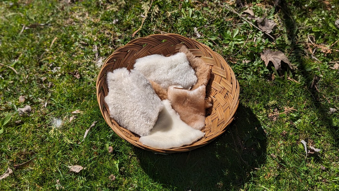 Short Sheep Wool Scrap Pack - Etsy