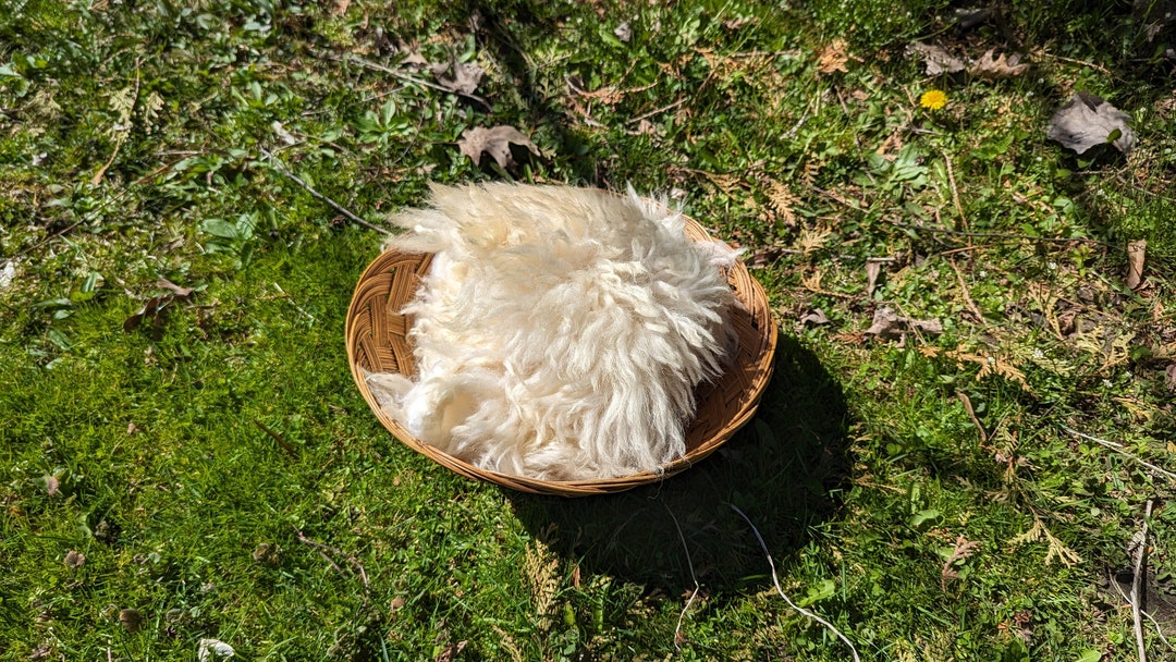 Long Sheep Wool Scrap Pack - Etsy