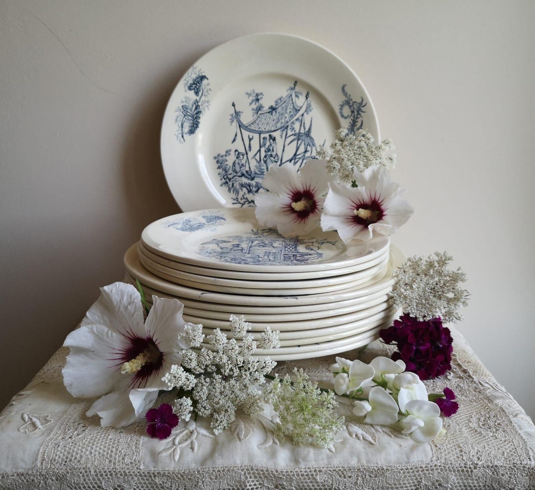French Antique Ironstone Plates, Set of 14,made by 'salins', Model ...