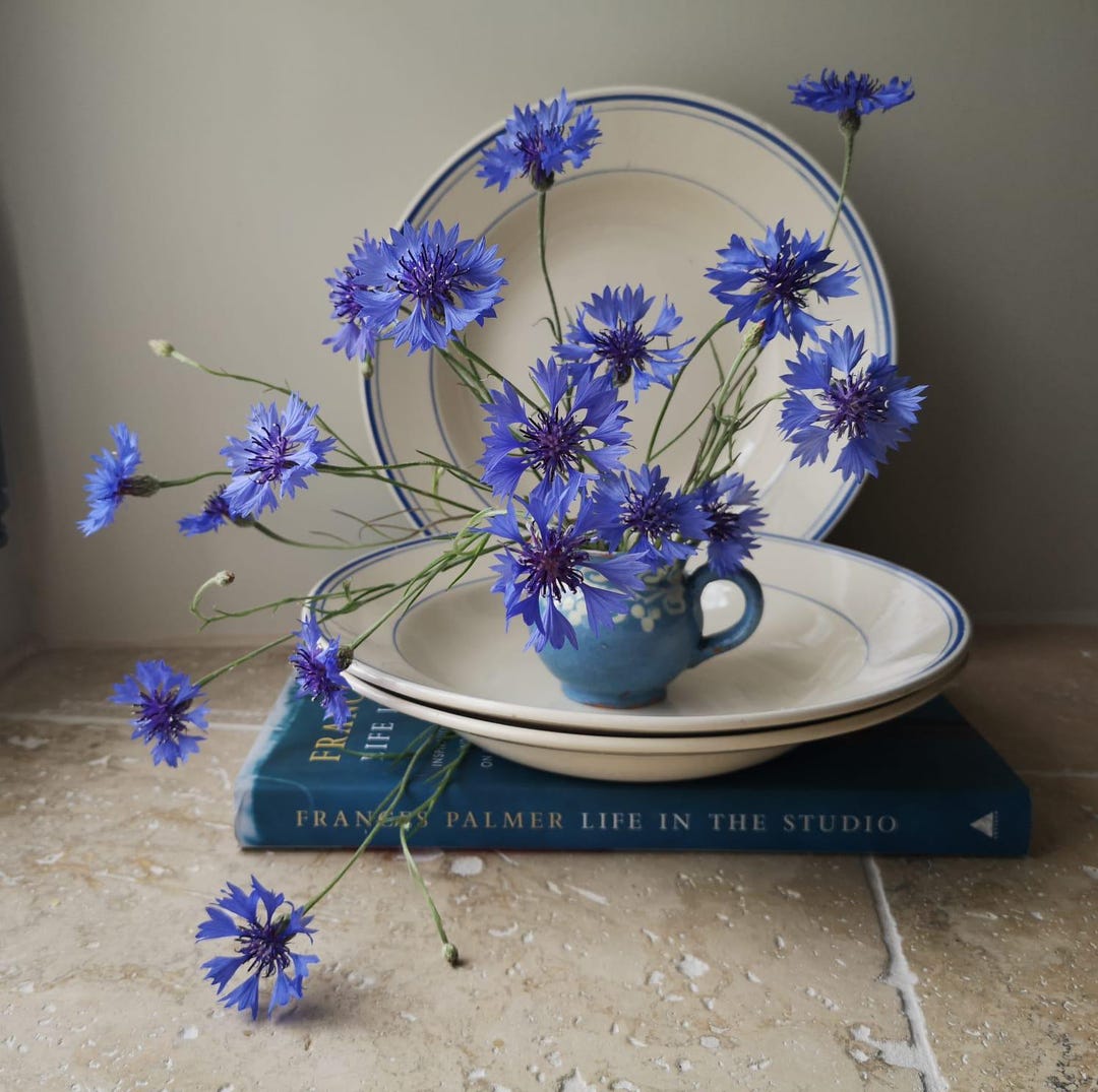 French Antique Ironstone Shallow Plates, Set of 3, Blue & White ...