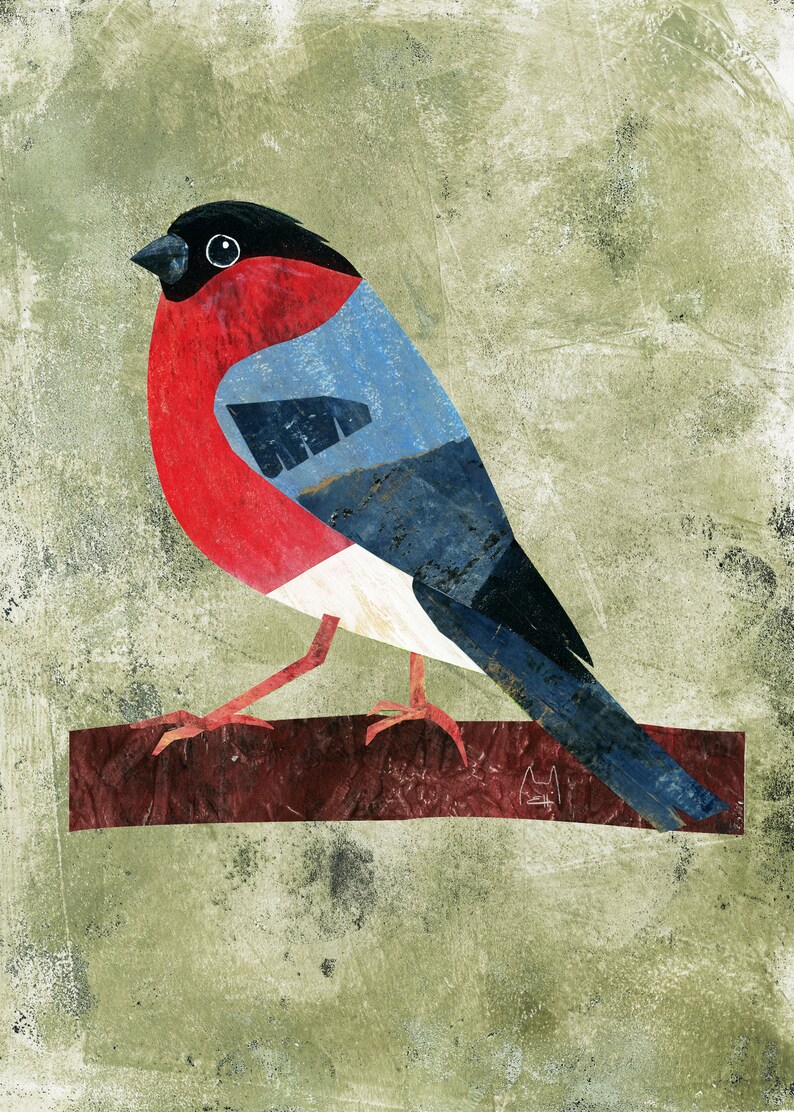 Bullfinch Paper Collage Art Print, Bullfinch Bird Penpal Art Print ...