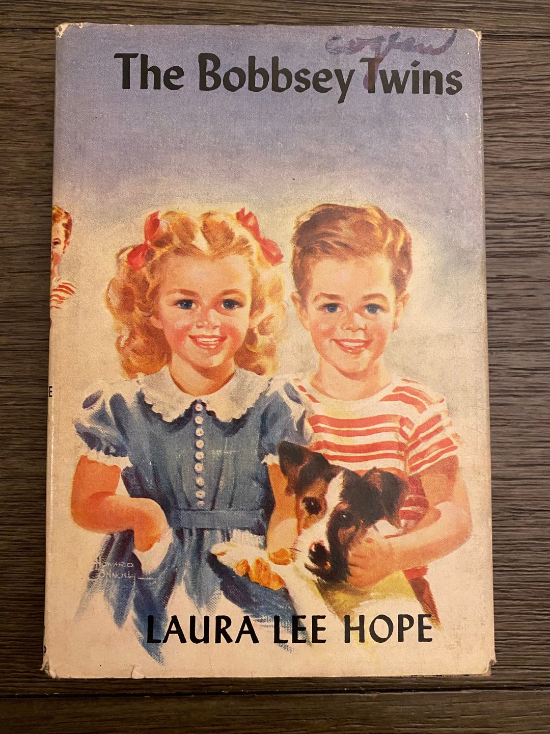 Vintage the Bobbsey Twins Book, Bobbsey Twins Book 1, Bobbsey Twins ...