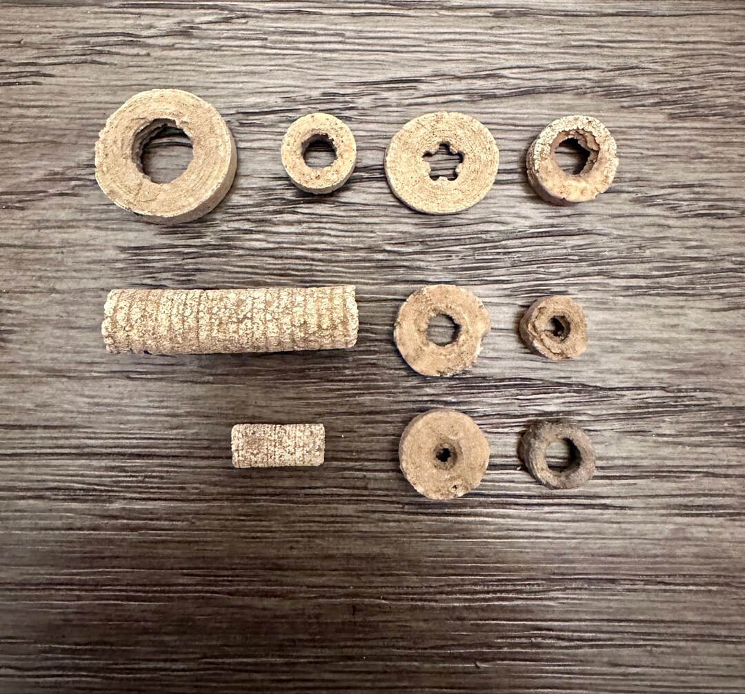 Crinoid Fossil Stalk, Crinoid Fossil Stems, Fossilized Rocks, Crinoid ...