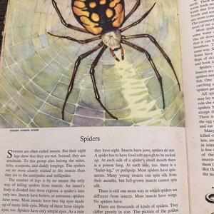 Vintage Golden Treasury of Natural History, Vintage Natural History ...