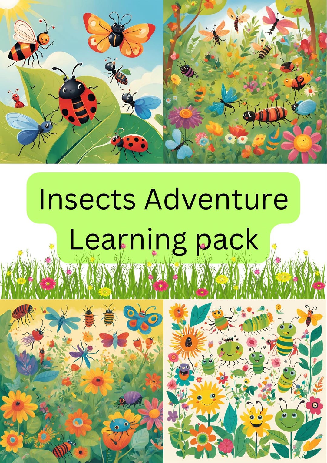 Insects Adventure Learning Pack: Fun Educational Activities (ages 3-6 ...