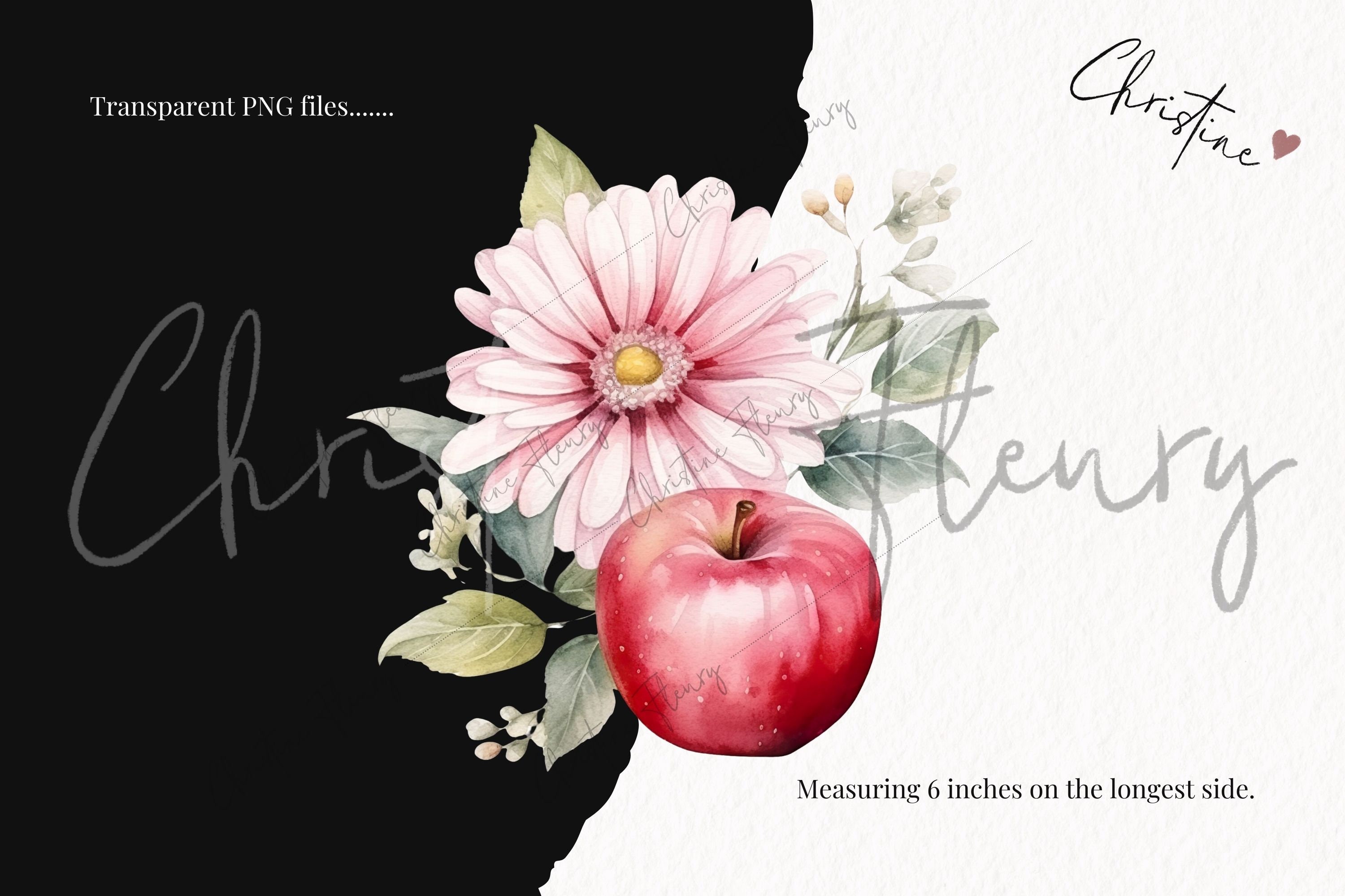 Watercolor Apples & Flowers Clipart, Spring PNG, Teacher PNG, Apple ...