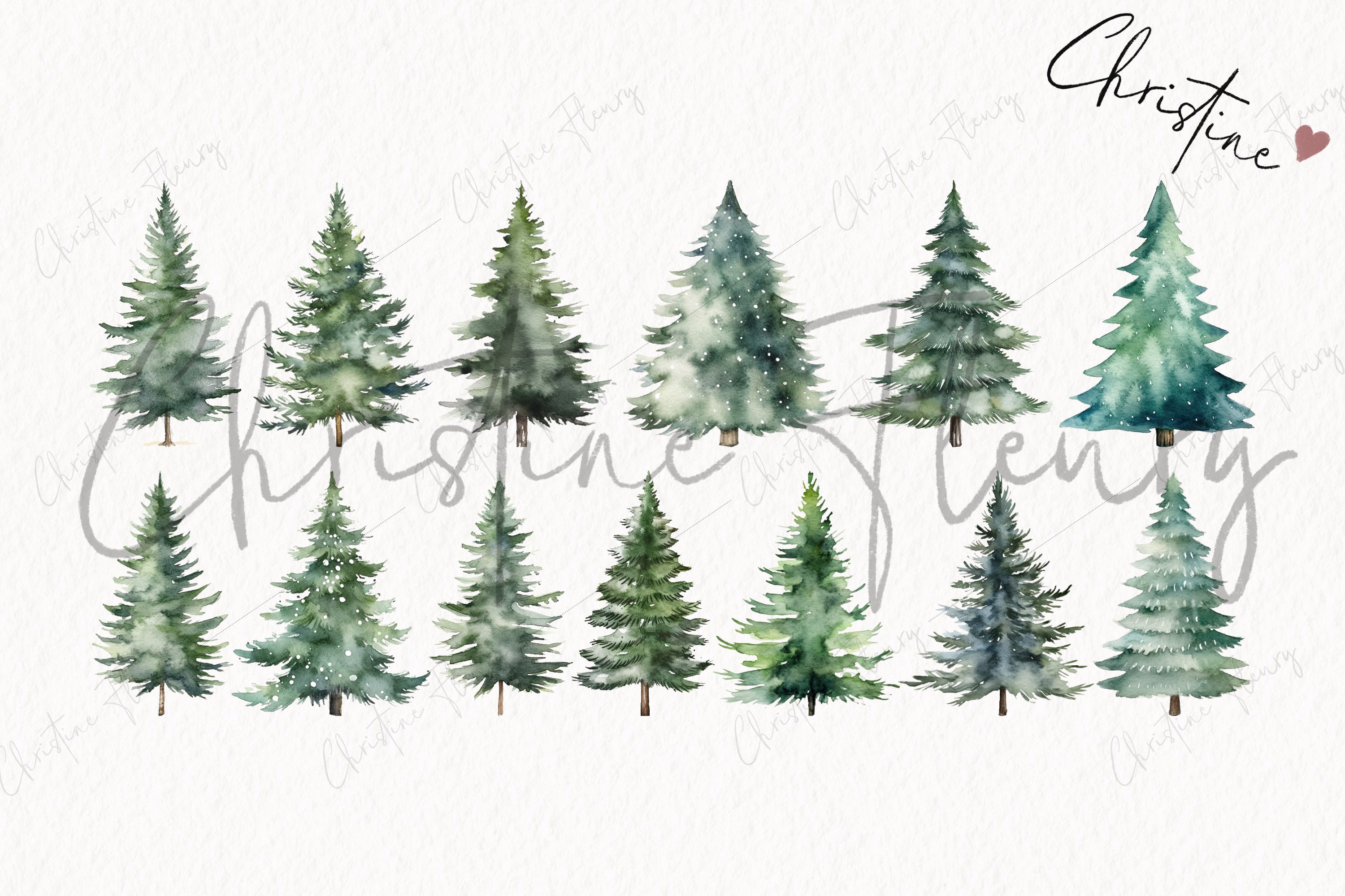 Watercolor Evergreen Clipart Watercolor Tree Clipart - Etsy