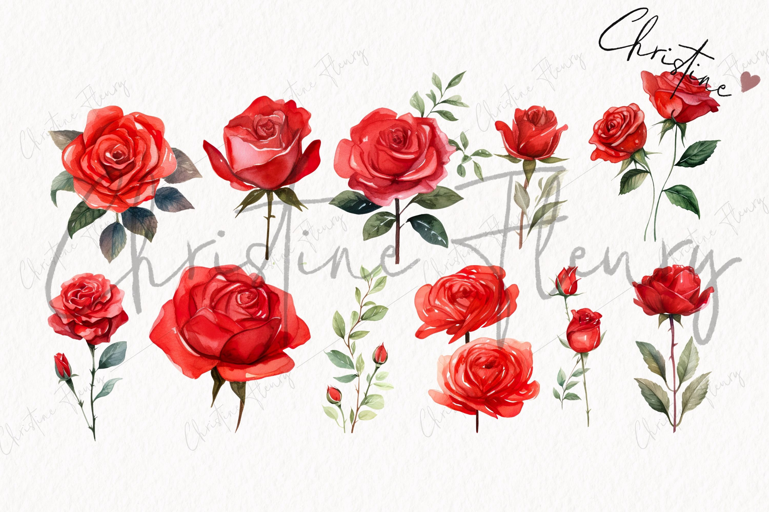 Watercolor Red Roses Clipart, Watercolor Flower Clipart, Wedding PNG ...