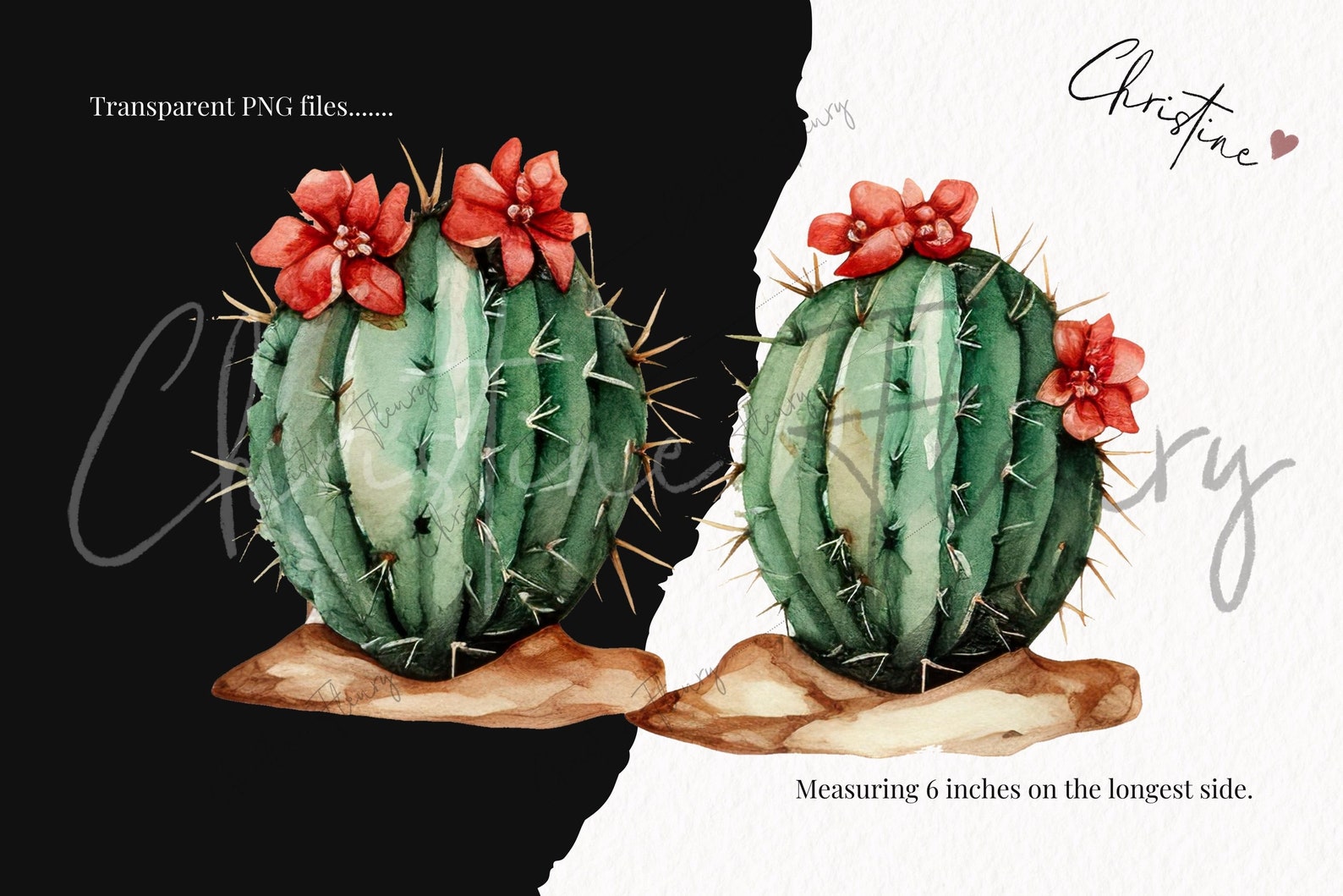 Watercolor Festive Cactus Clipart, Watercolor Western Clipart, Cowboy ...