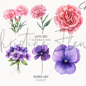 Birth Month Flower Clipart Bundle, Birthday PNG, Watercolor Wedding Era ...